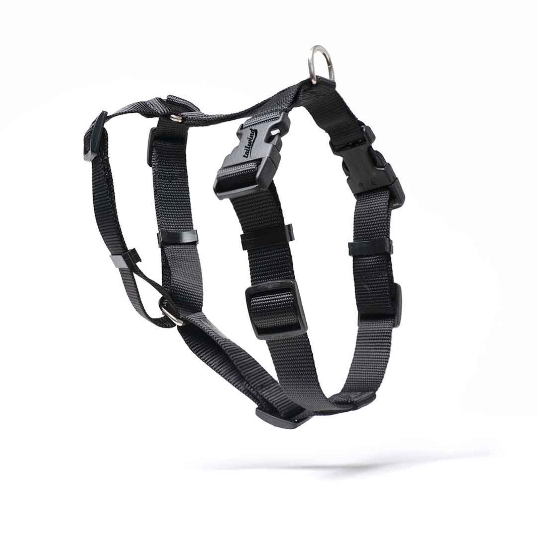 All Products - Tailwind Dog Braces – Tailwindpets